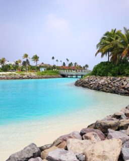 Copy-cat B Laban Koshary recipe - Strawberry in the Desert