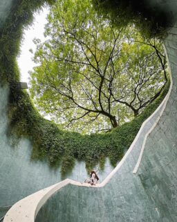 Copy-cat B Laban Koshary recipe - Strawberry in the Desert